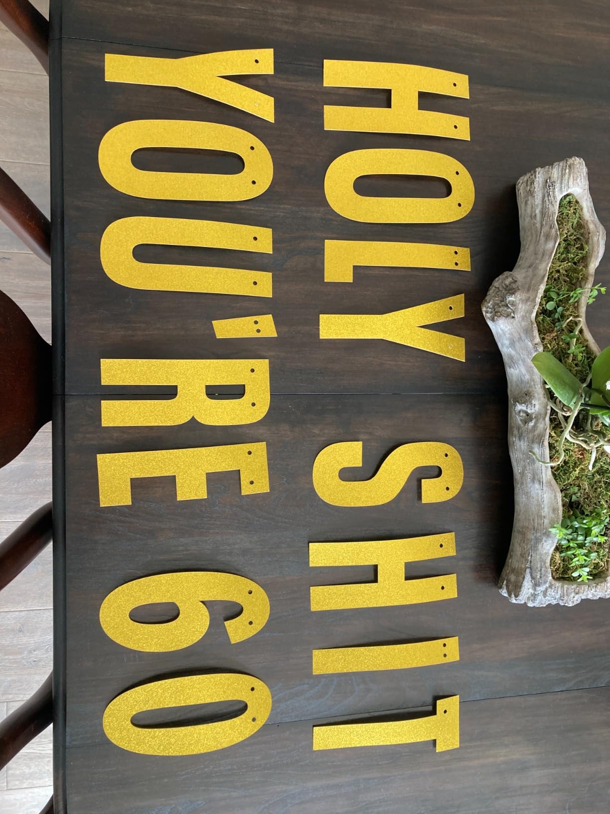 Holy Shit You're 60 Birthday Decorations Banner for Women Men Gold ...