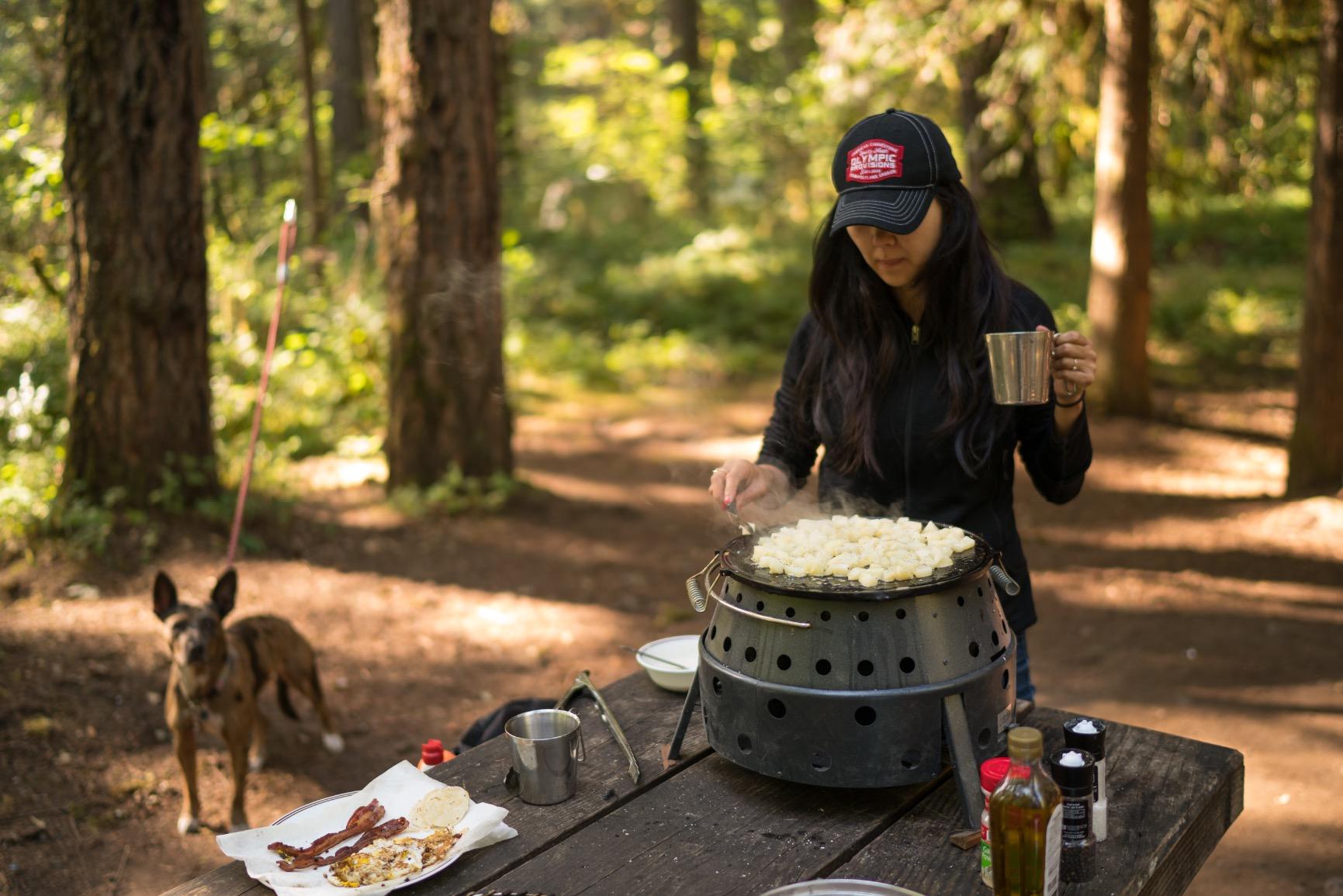 Amazon.com : Volcano Grills Reversible Pre-Seasoned Cast Iron Griddle ...