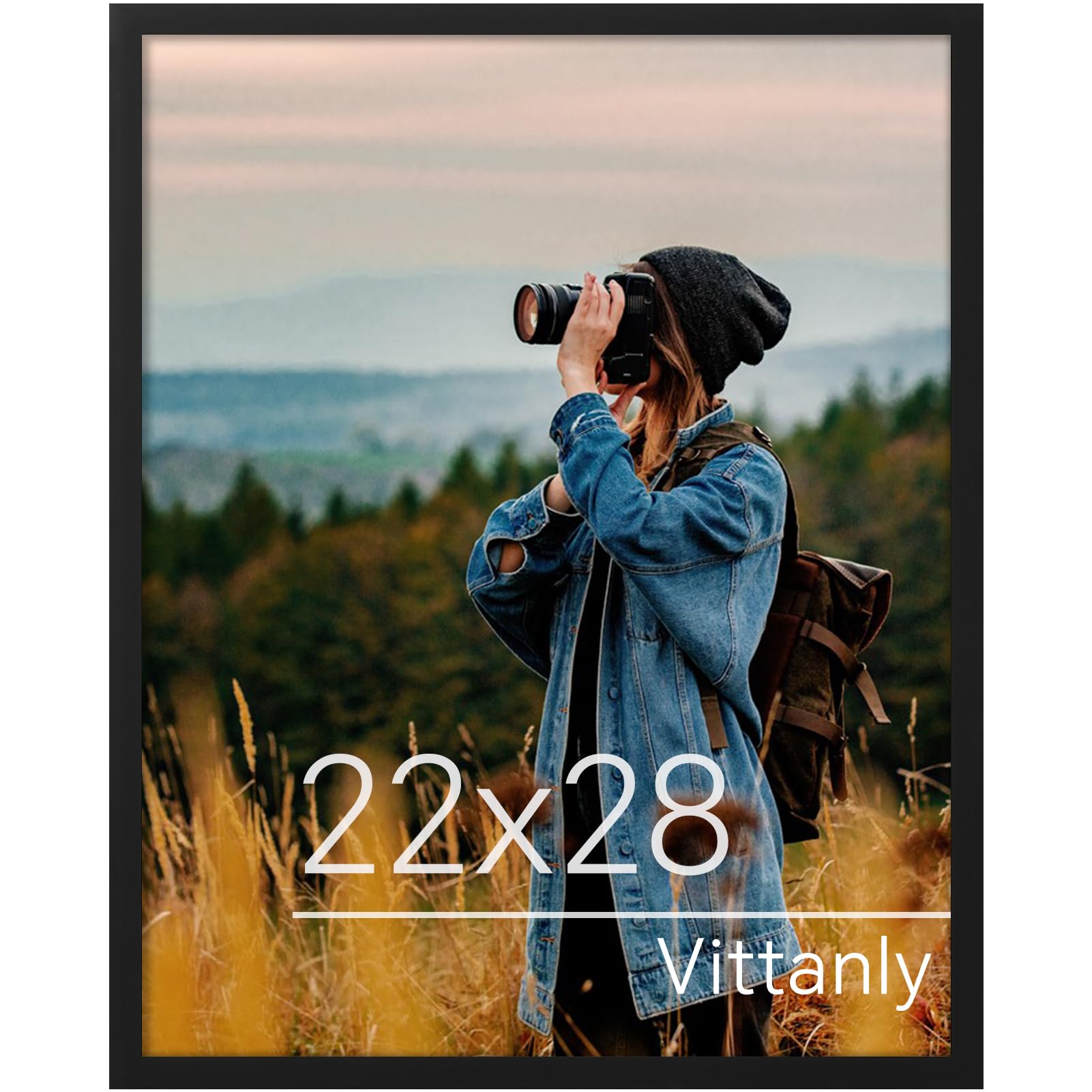 Amazon.com - Vittanly 22x28 Poster Frame for Wall, Plexiglass, Displays ...