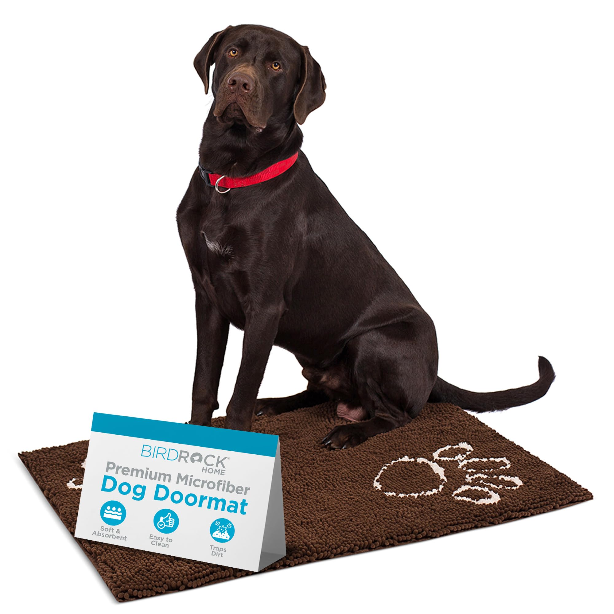 Amazon.com: BIRDROCK Home Chenille Dog Doormat - Absorbent Surface to ...