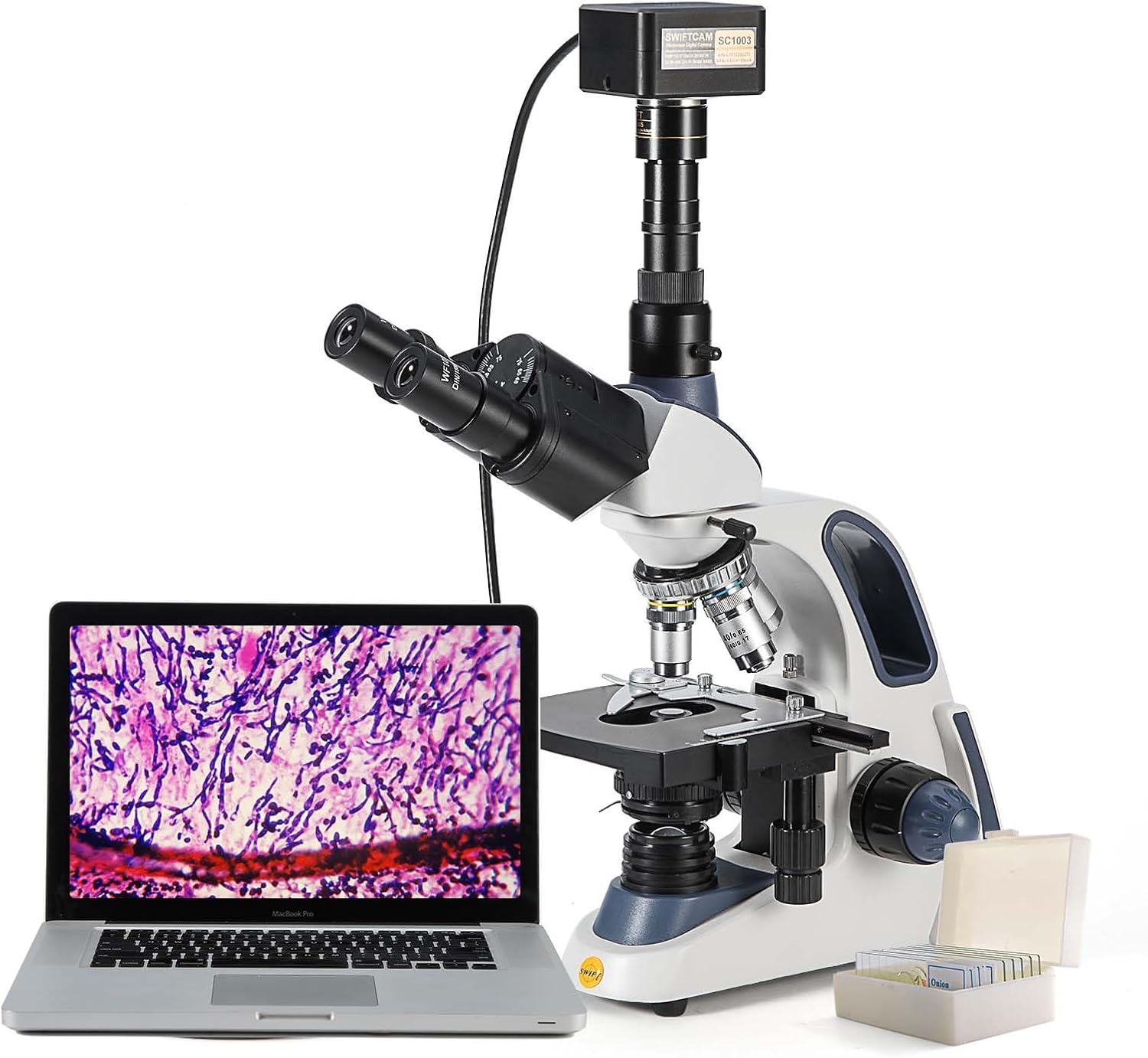 Amazon.com: SWIFT Compound trinocular Microscope, 40X-2500X Mechanical ...