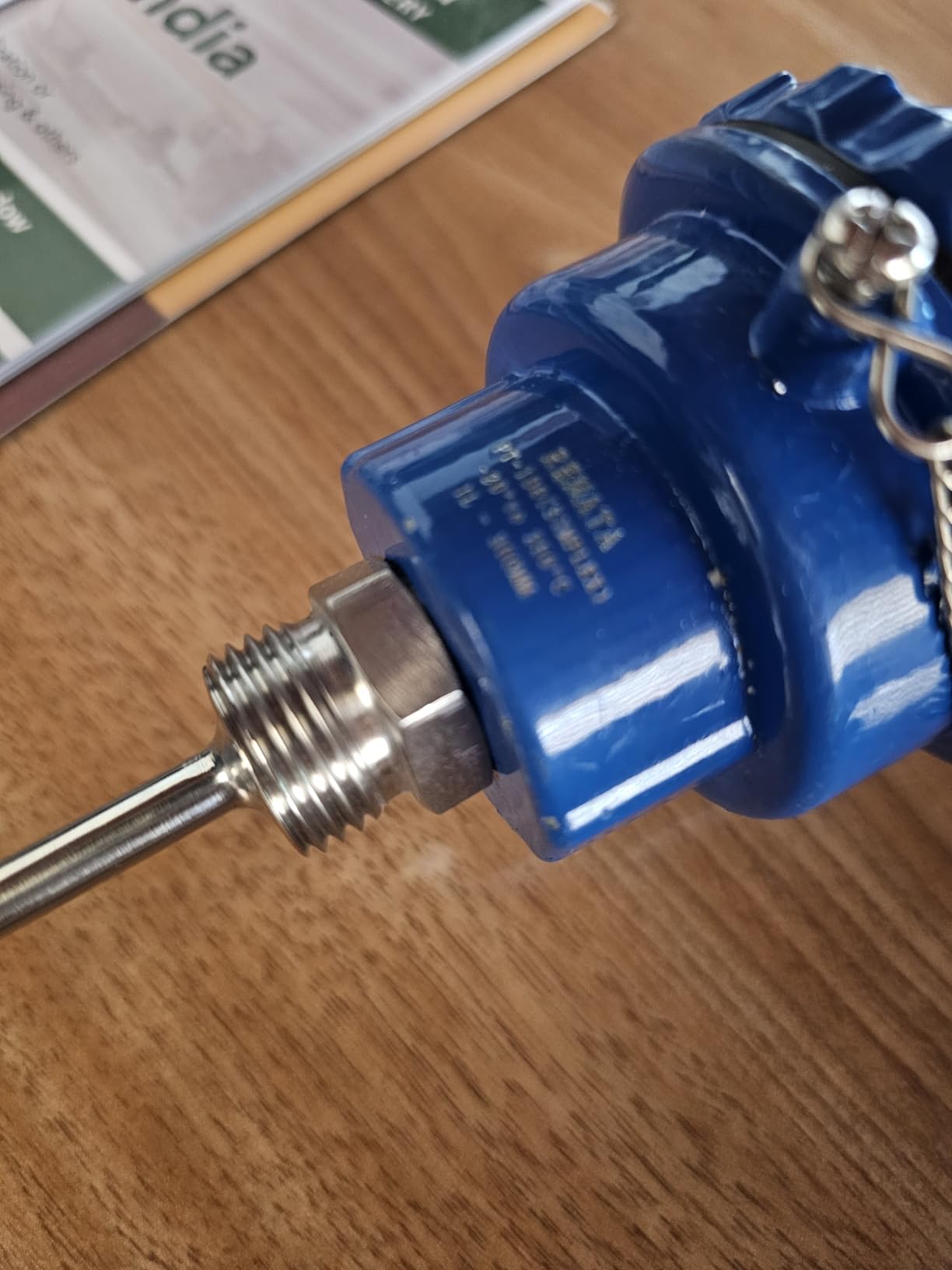 VIGITAL - BRAND RTD (PT100-SIMPLEX) HEAD TYPE SENSOR WITH 6MM DIA, With ...