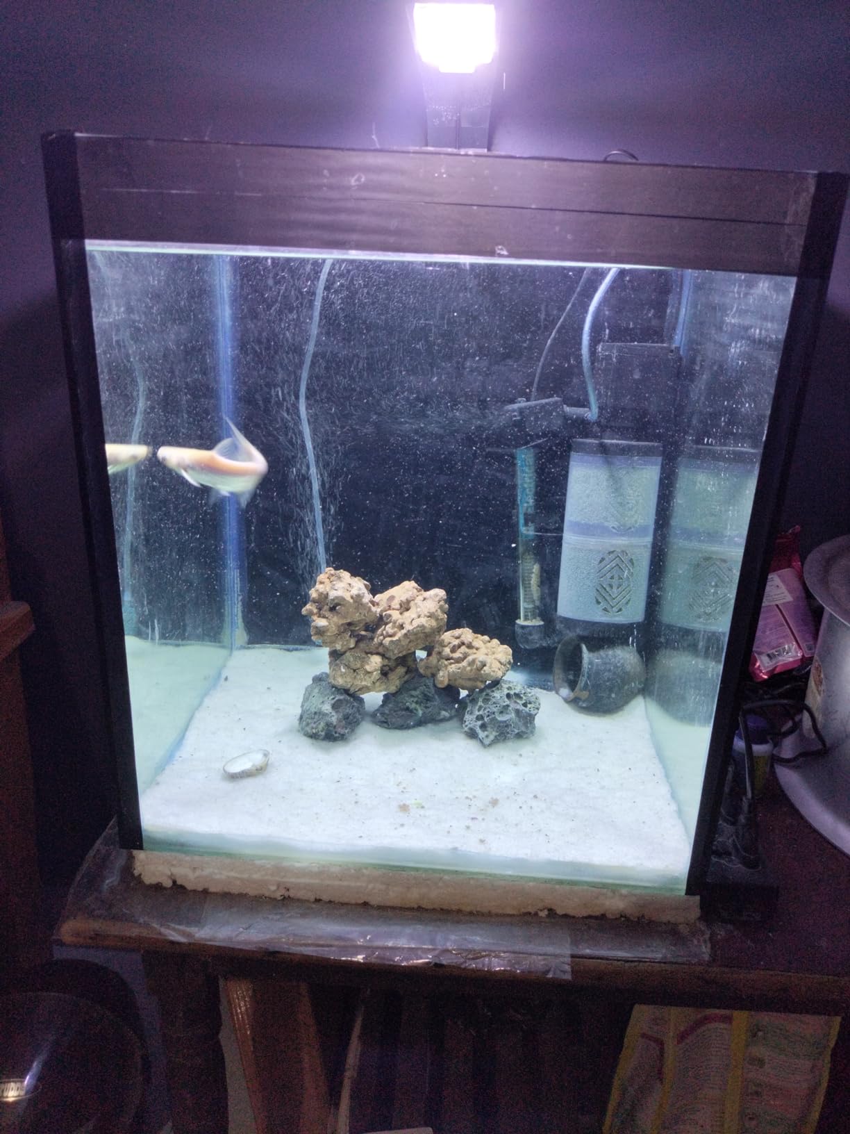 RUKDA Authentic Natural Hole Congo Rock: Versatile Stone for Aquariums ...