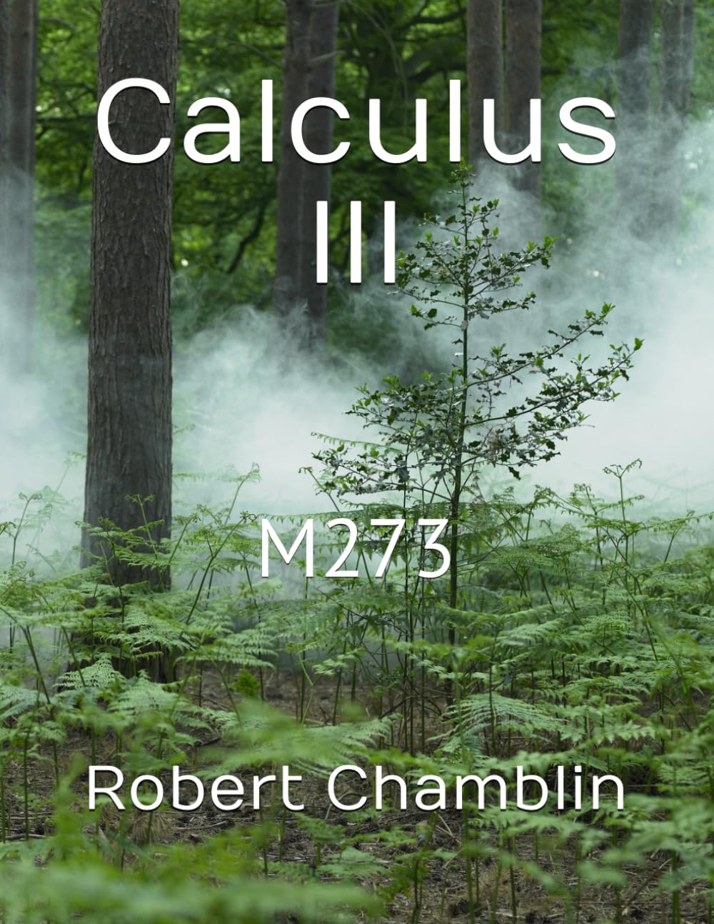 Calculus III: M273: Chamblin, Robert: 9798872449560: Amazon.com: Books