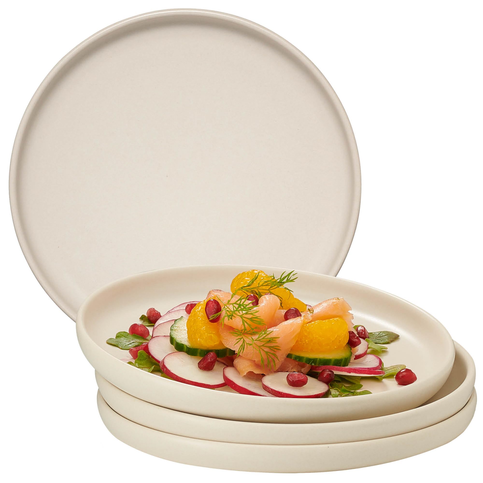 Amazon.com | B BRILLIANT Ceramic Stoneware Dinner Plates Set of 4 ...