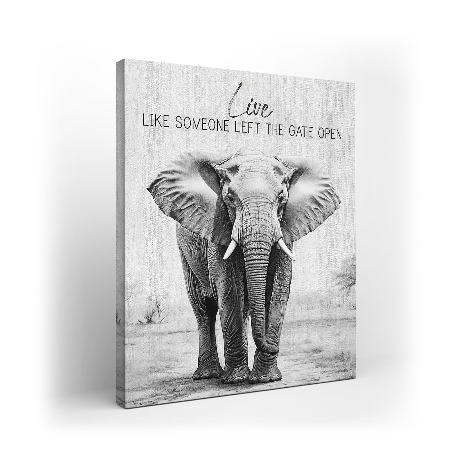 Amazon.com: Kuphsod Christian Elephant Canvas Wall Art Black and White ...