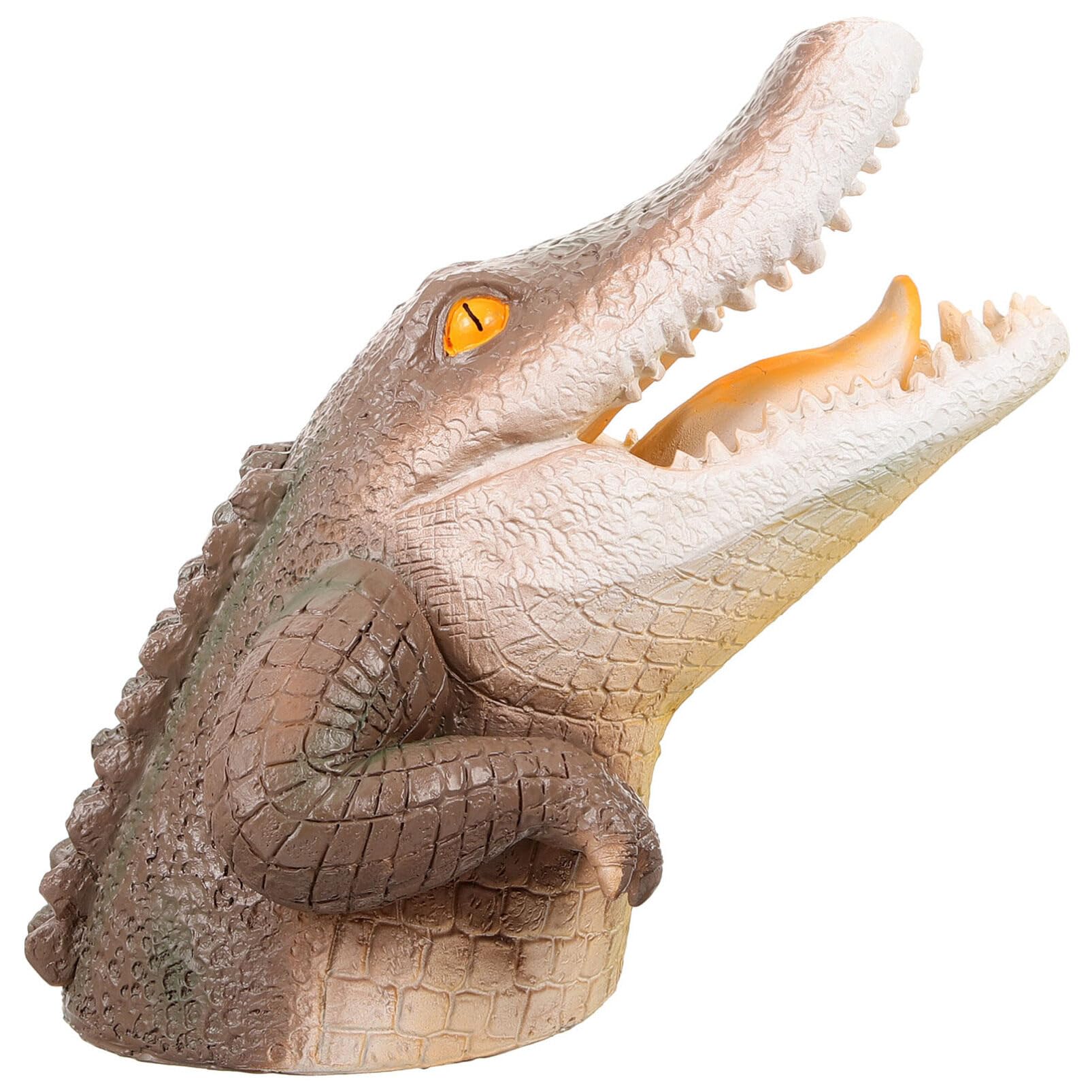 Crocodile Head In Water