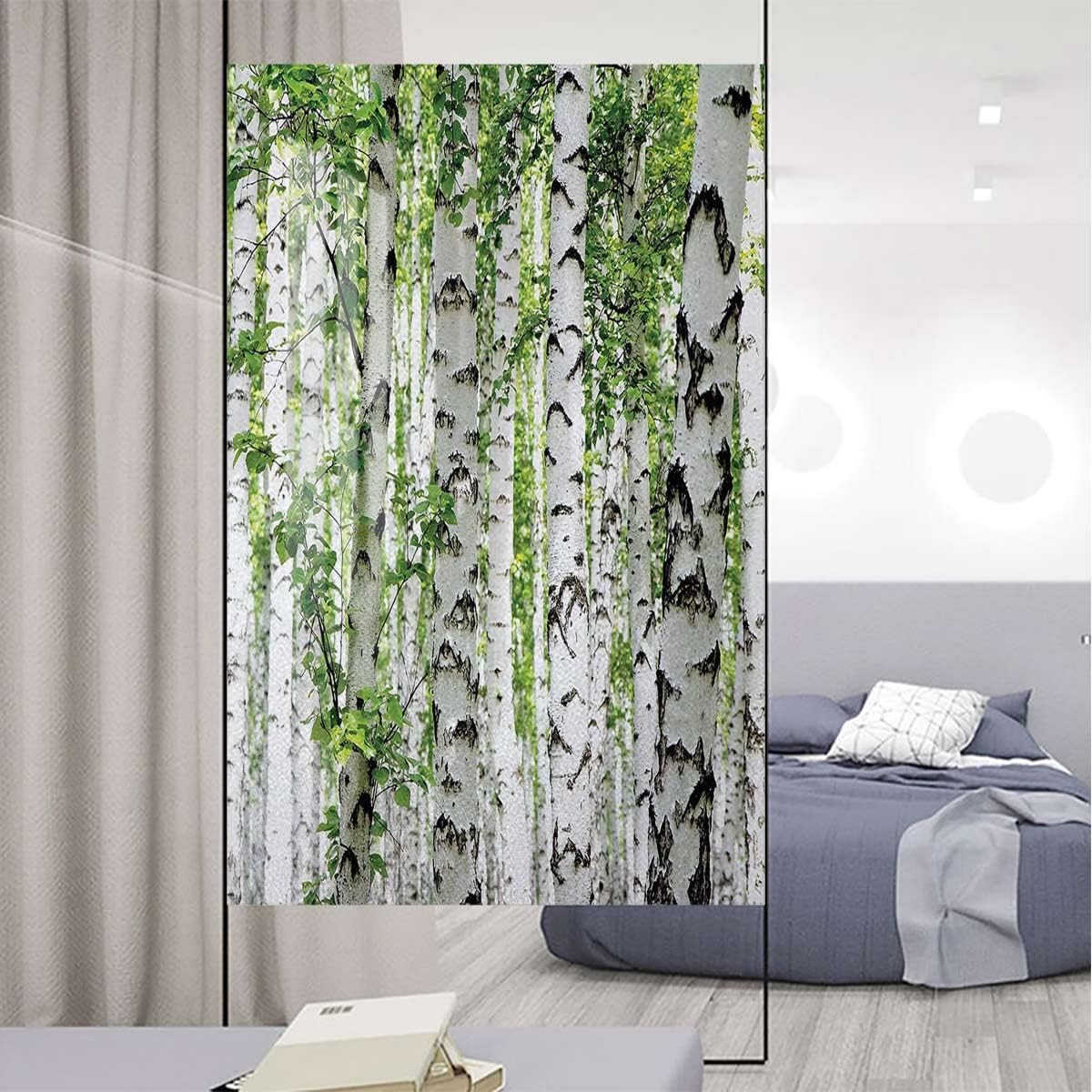 Amazon.com: White Green Decorative Privacy Window Film Birch Trees in ...