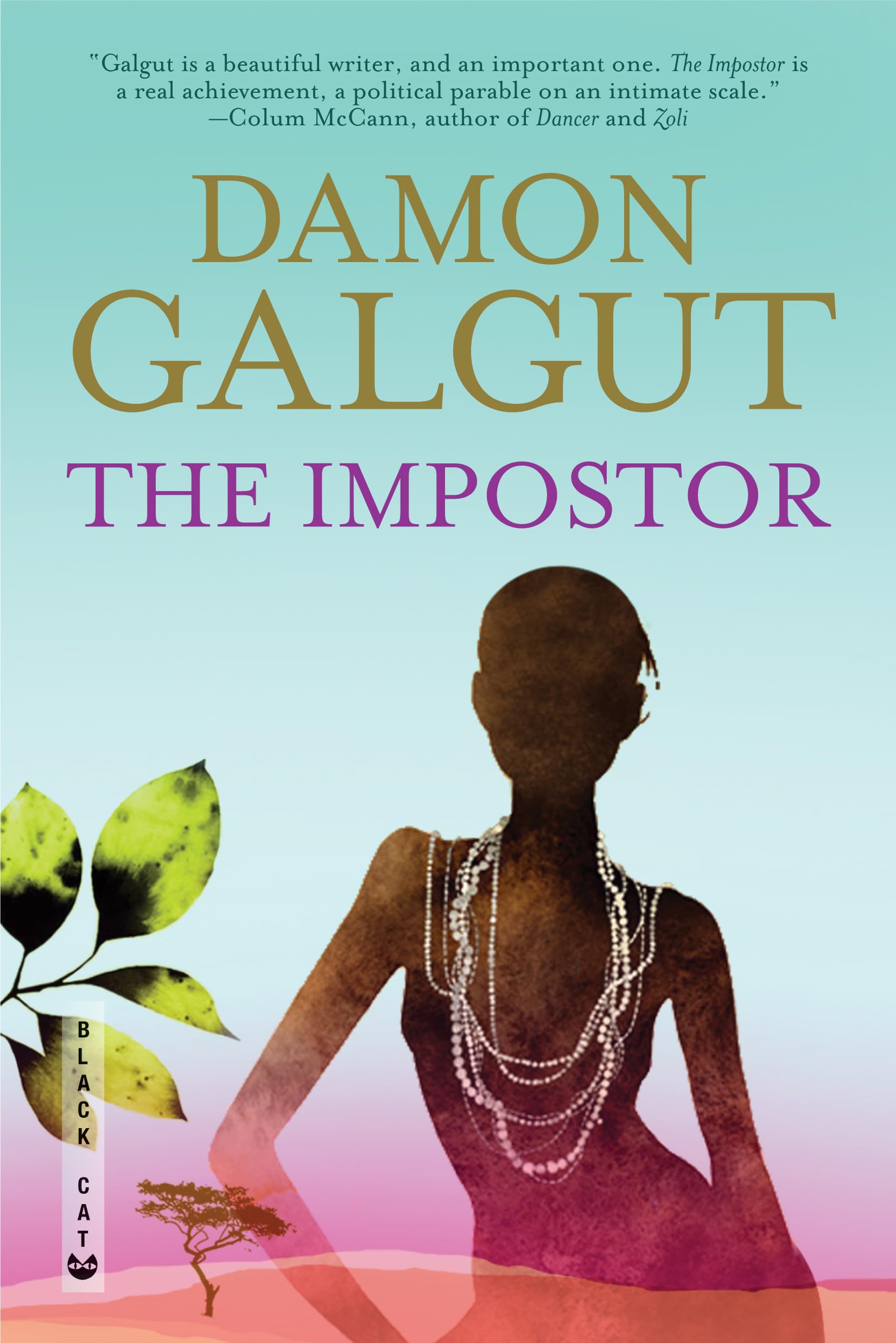 Amazon.com: The Impostor: A Novel: 9780802170538: Galgut, Damon: Books