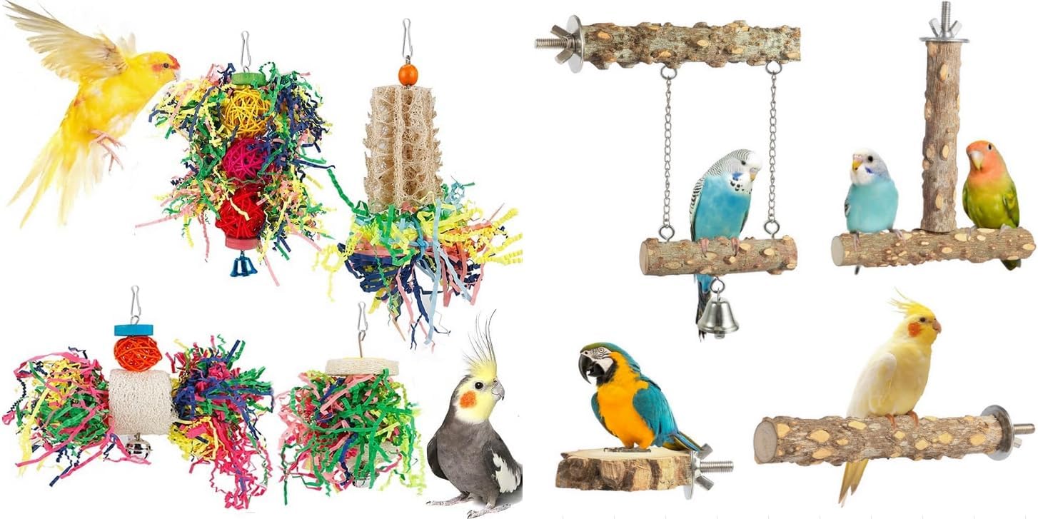 Amazon.com : Natural Wood Birds Stand Branch, Bird Perch Chewing Stick ...