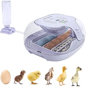 Amazon.com: AIRLYA-Life Egg Incubator, 16 Eggs Incubator with Automatic Turning & Humidity ...