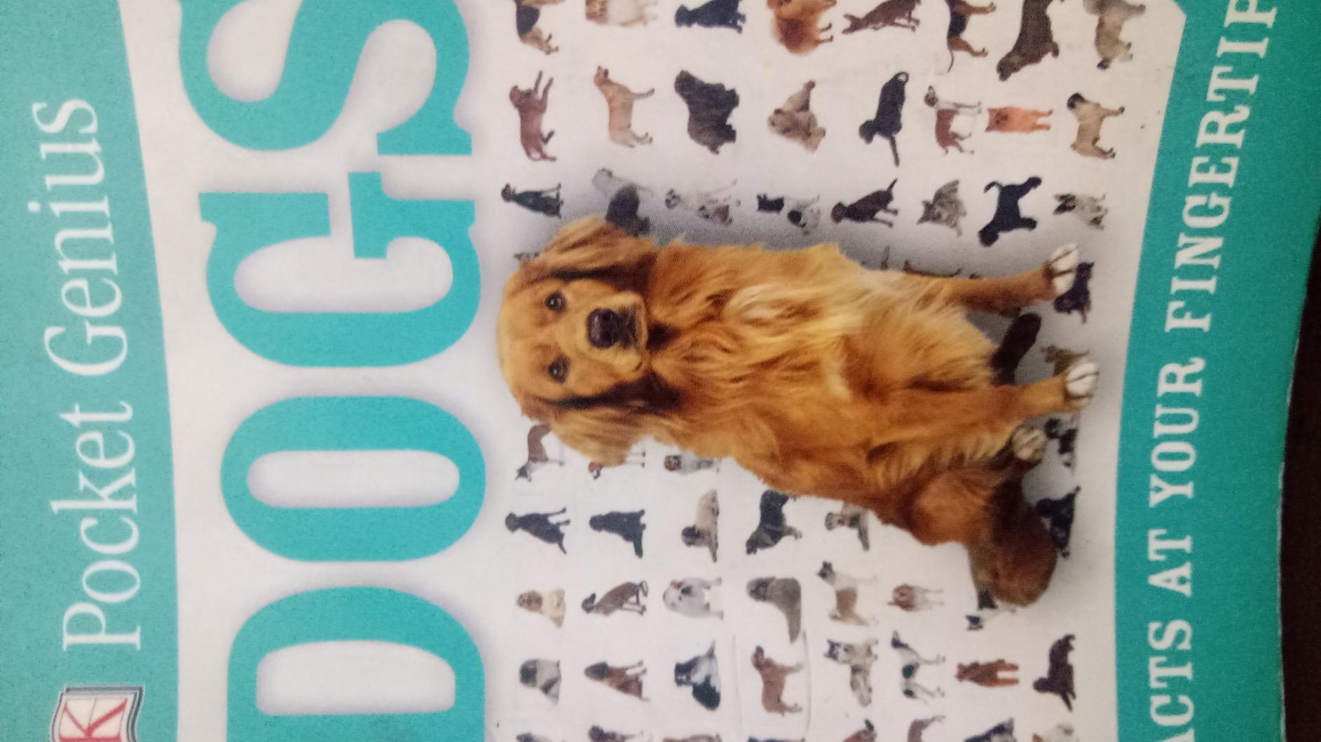 Pocket Genius: Dogs: Facts at Your Fingertips : DK: Amazon.in: Books