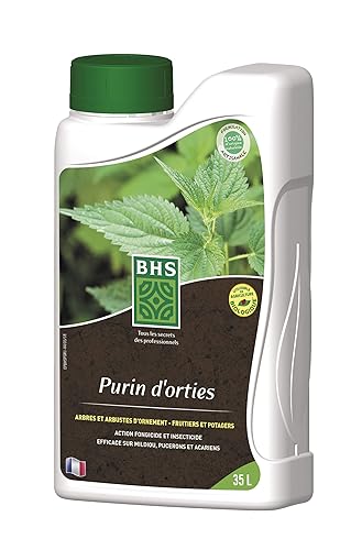 Les bienfaits du purin d’ortie : un allié naturel pour votre jardin ...
