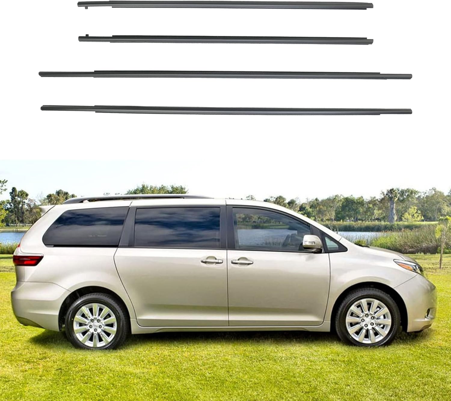 Amazon.com: 6816008020 Weatherstrip Window Moulding Trim Seal Belt for ...