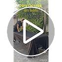 Amazon.com: Urby Extra Large Table Cloths. 6-8ft Rectangle Tables That ...