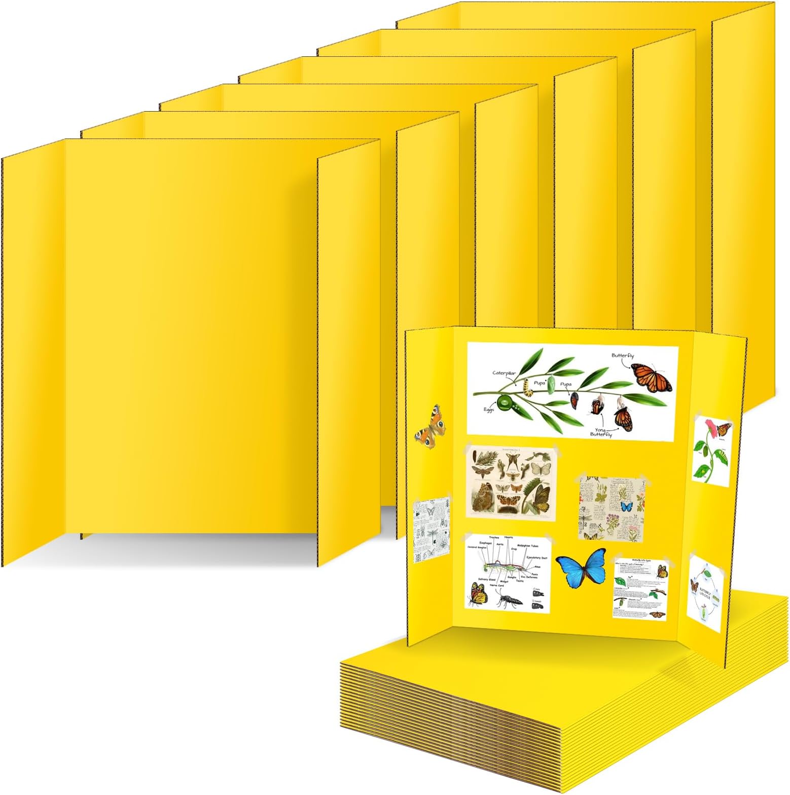 Amazon.com: 5 Pack Trifold Poster Board, IKAYAS 24" X 16" Double Sided ...
