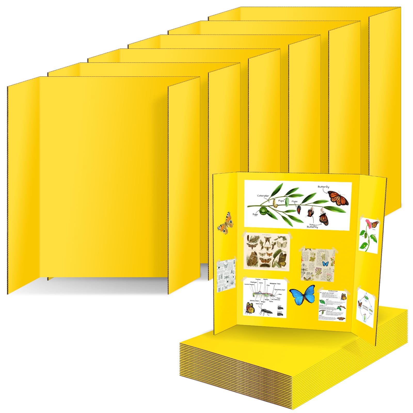 Snapklik.com : 5 Pack Trifold Poster Board, IKAYAS 24" X 16" Double ...