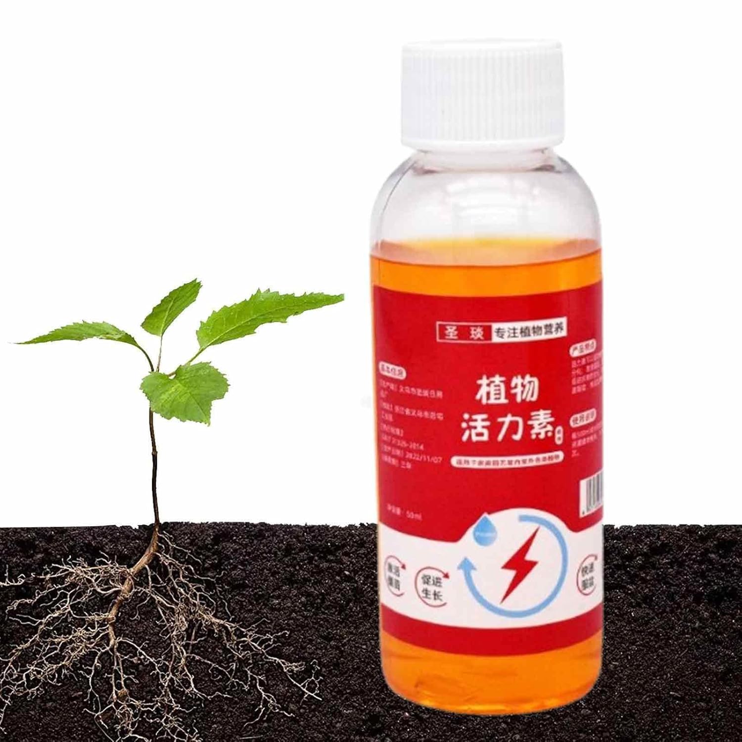 Amazon.com : Rooting Supplement 50ml Plant Fertilizer for Cuttings ...