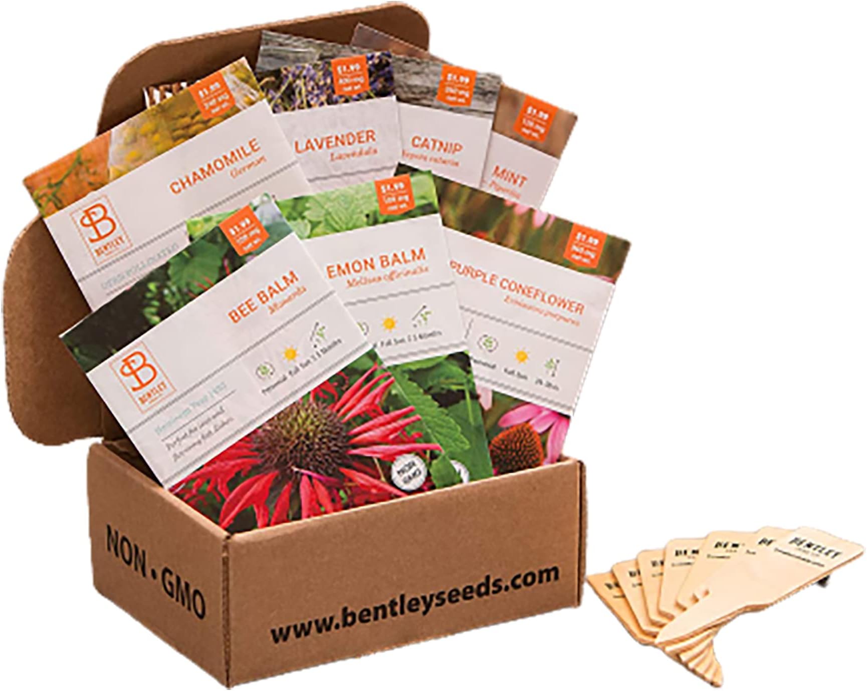 Amazon.com : Bentley Seed Co. | Help Pollinators Kraft Hummingbird | 25 ...