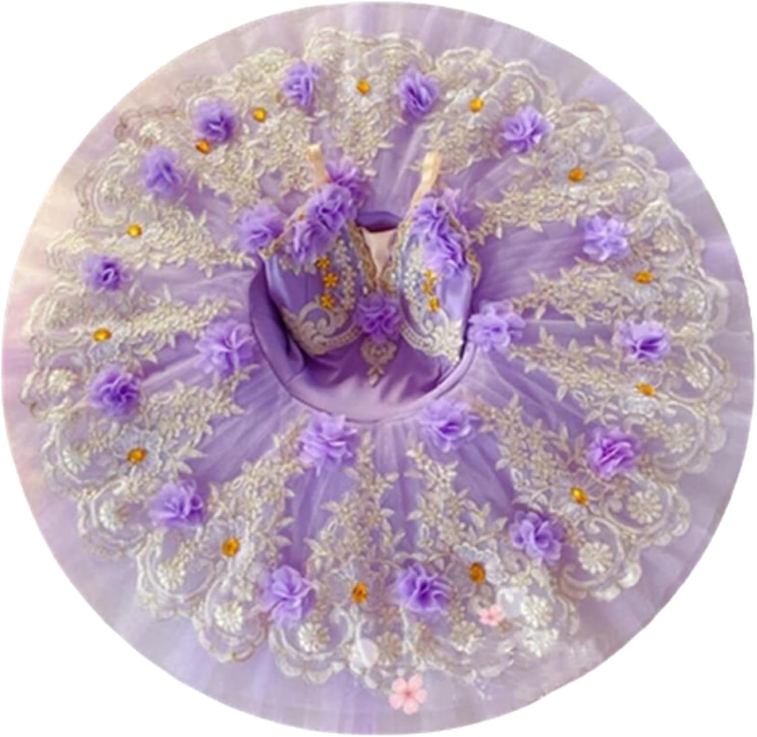 Amazon.com: WIINXX Professional Ballet Tutu Girls Platter Pancake Tutu ...