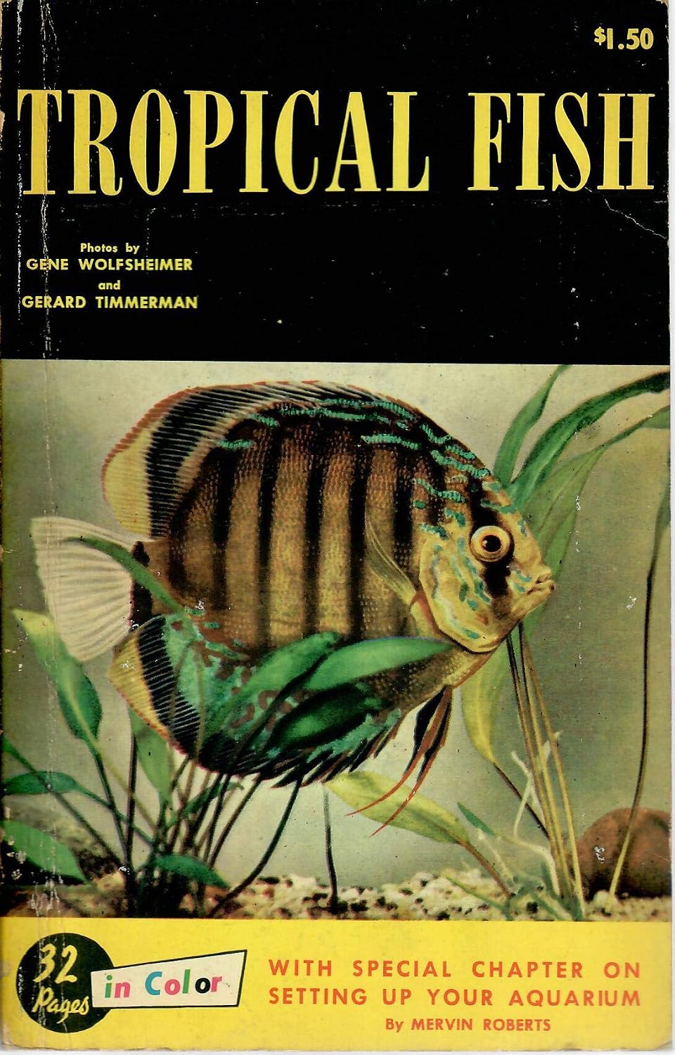 Tropical Fish: Gene Wolfsheimer, Gerard Timmerman, Mervin Roberts ...