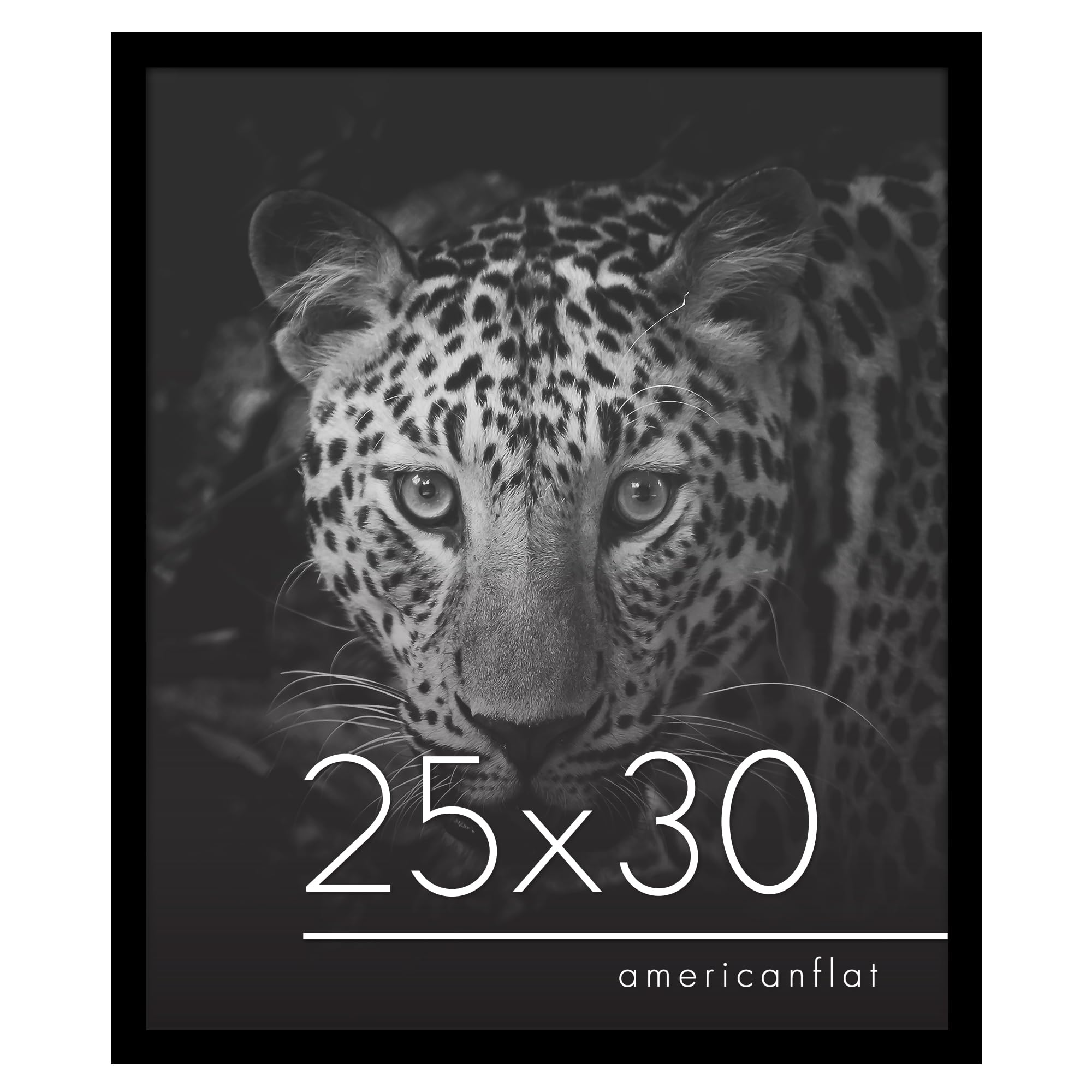 Amazon.com - Americanflat 25x30 Picture Frame with Polished Plexiglass ...