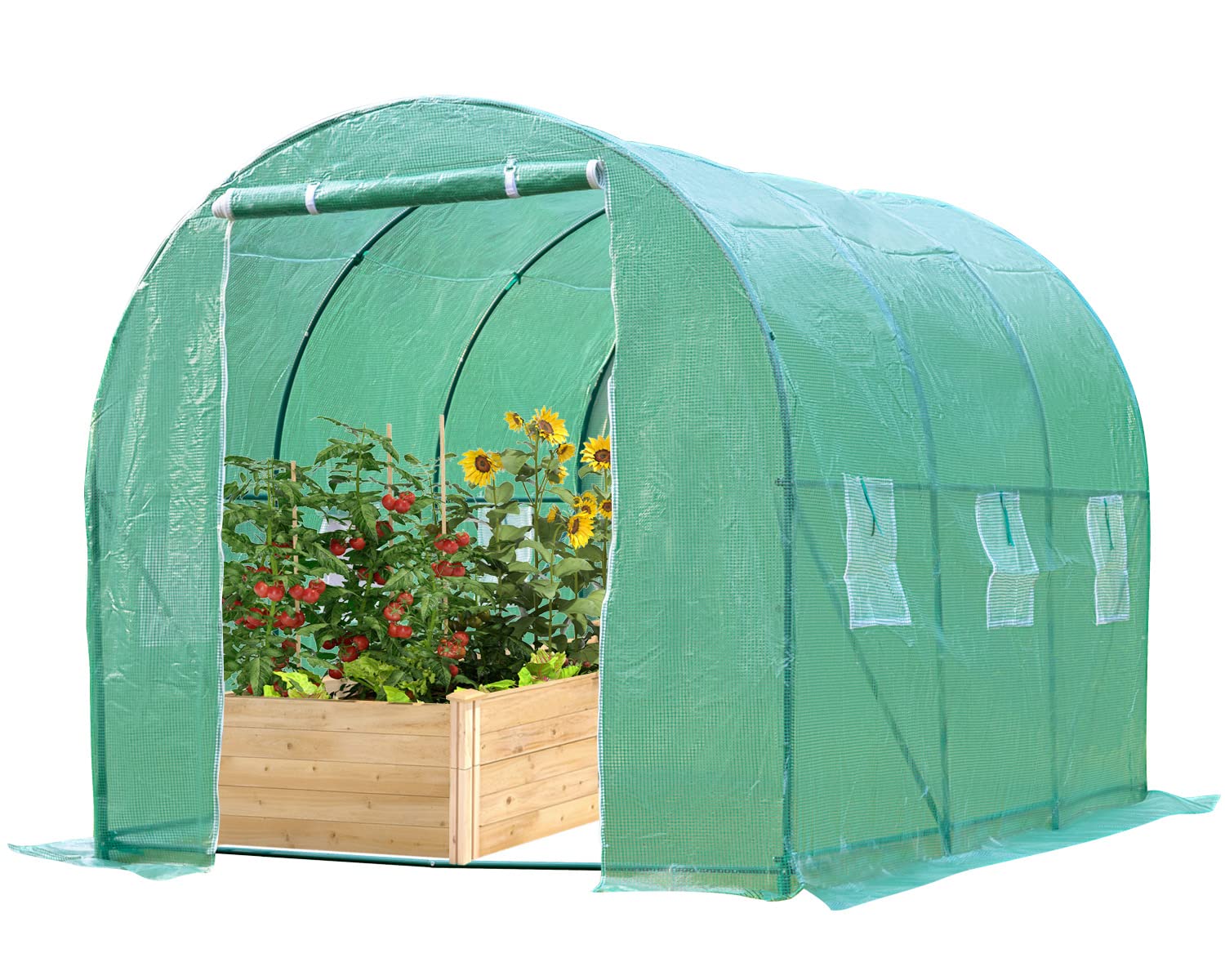 Snapklik.com : Greenhouse 10xW7xH7 Walk-in Greenhouses For Outdoors ...