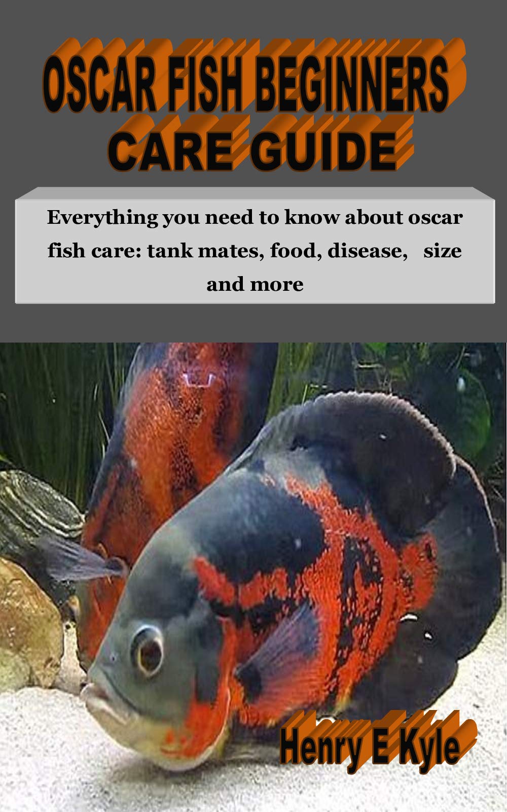 Oscar Fish Beginners Care Guide Everything You Need To Know ...