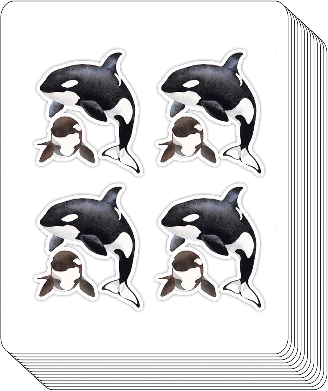 Amazon.com: Orca Killer Whale Planner Stickers - AdorableOrca Killer ...