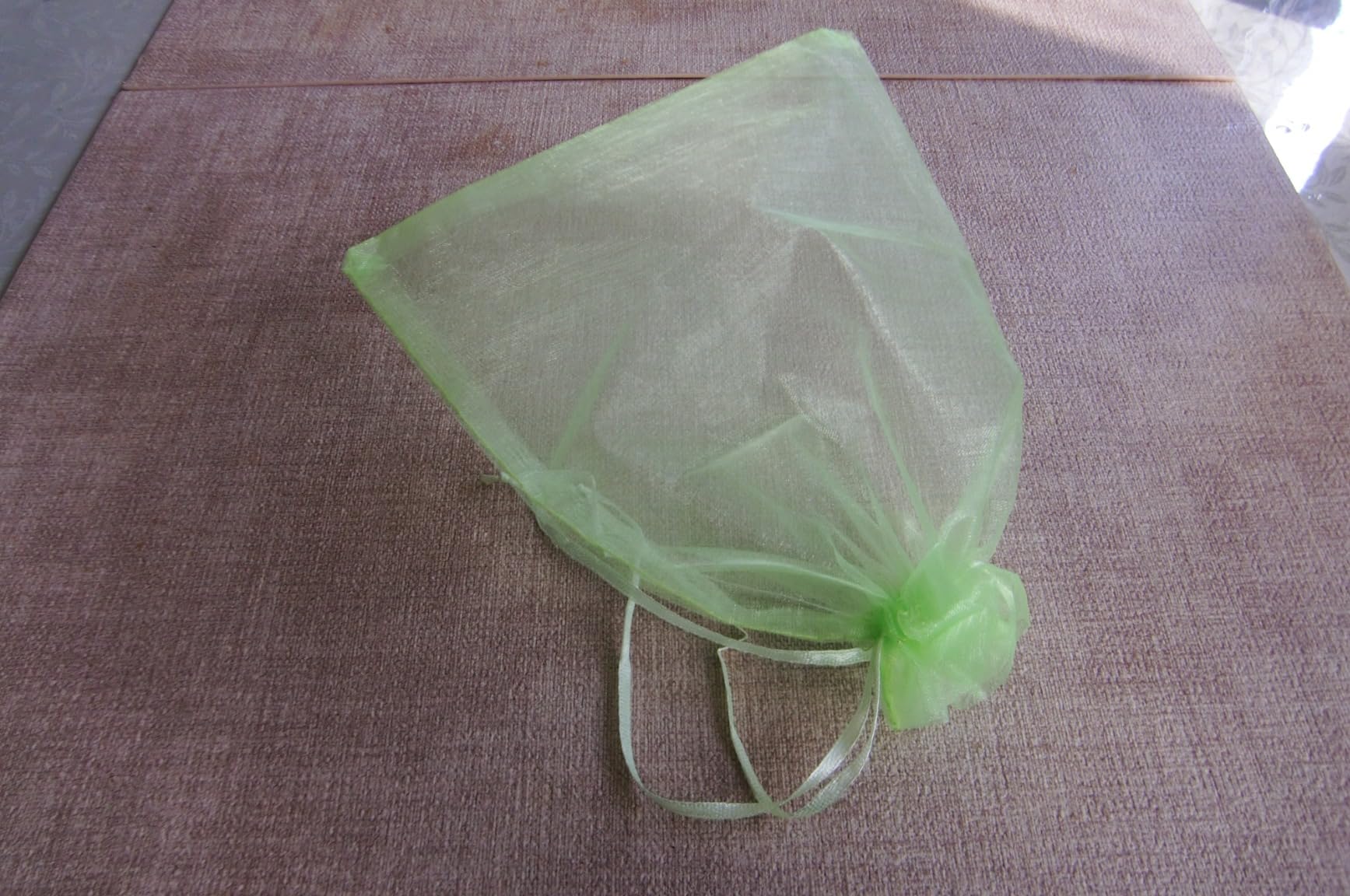 Amazon.co.jp: Neiang 果物袋 果物保護バッグ 50枚入 果樹袋 保護ネット 防虫 ネット 鳩よけネット 鳥よけネット びわ 桃 ぶどう 巾着袋 20cm×30cm ...