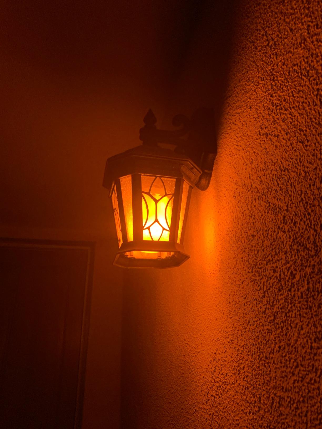 LEDERA LED Flame Light Bulbs, 4 Modes LED Flame Bulb Fire Light Bulb ...