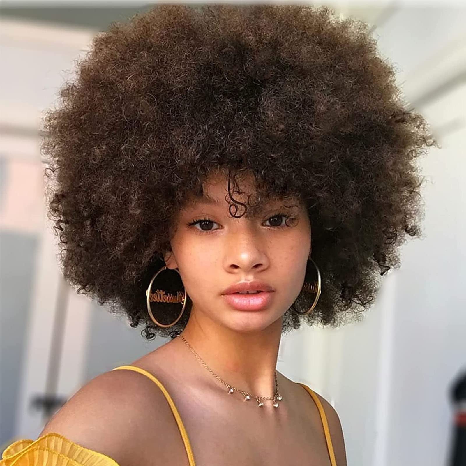 G&T Wig Short Afro Wigs for Black Women 70's Afro Puff Wigs Large ...