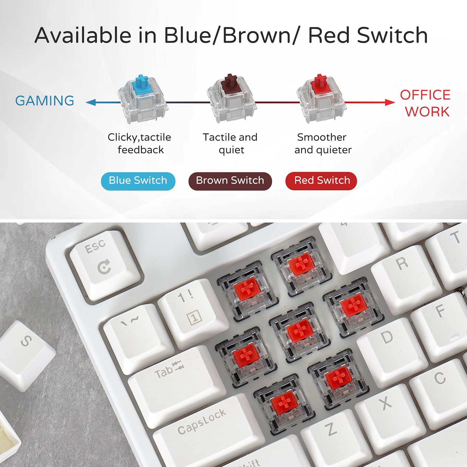 Buy RK ROYAL KLUDGE RGB 60% Mechanical Keyboard and Mouse Combo, RK987 ...