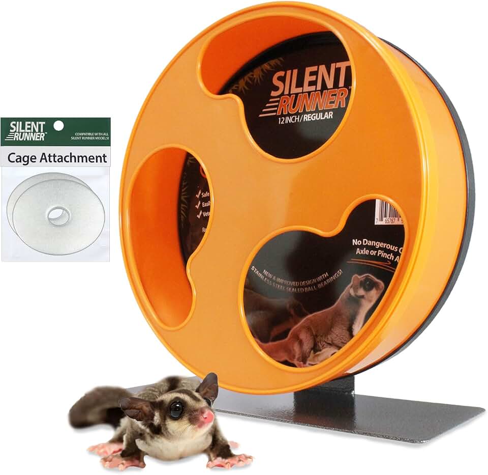 Small Animal Exercise Wheels Amazon small-animal-exercise-wheels-amazon