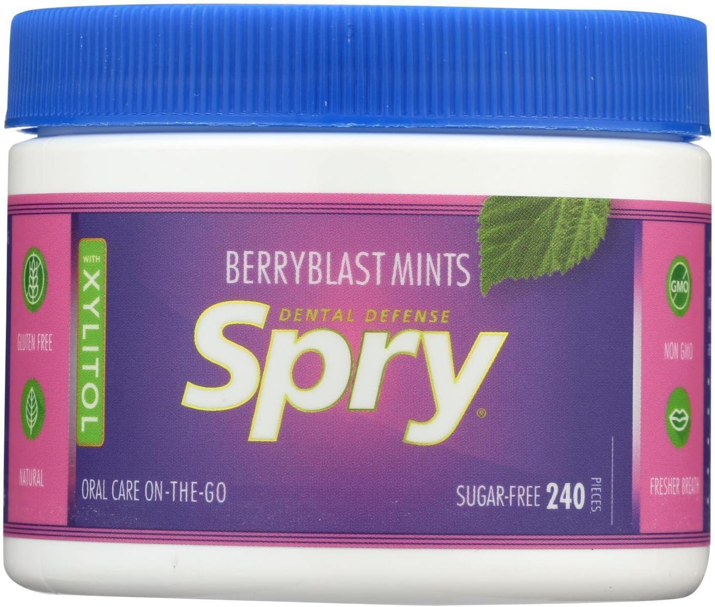 Amazon.com: Spry Xylitol Peppermint Sugar Free Candy - Breath Mints ...