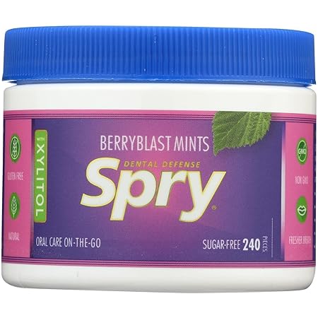Amazon.com: Spry Xylitol Cinnamon Mints Sugar Free Candy - Breath Mints ...