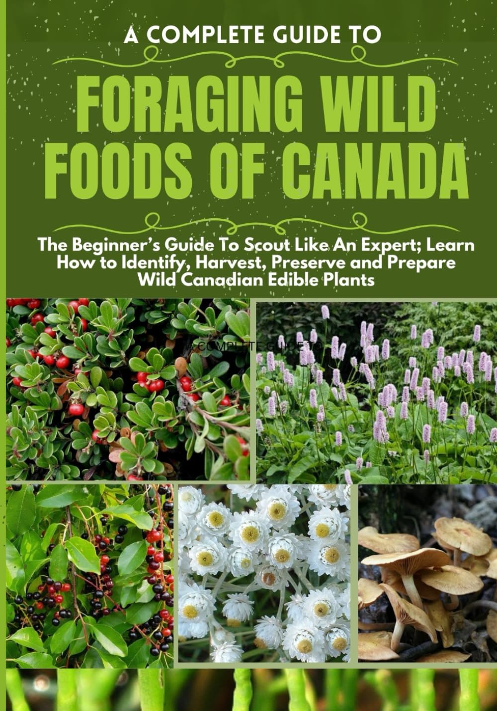 A COMPLETE GUIDE TO FORAGING WILD FOODS OF CANADA: The Beginner’s Guide ...