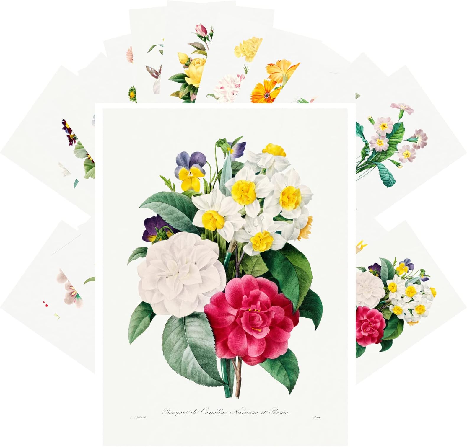 Amazon.com : PIXILUV Vintage Postcards (24 pcs 4"x6" each) Flowers ...