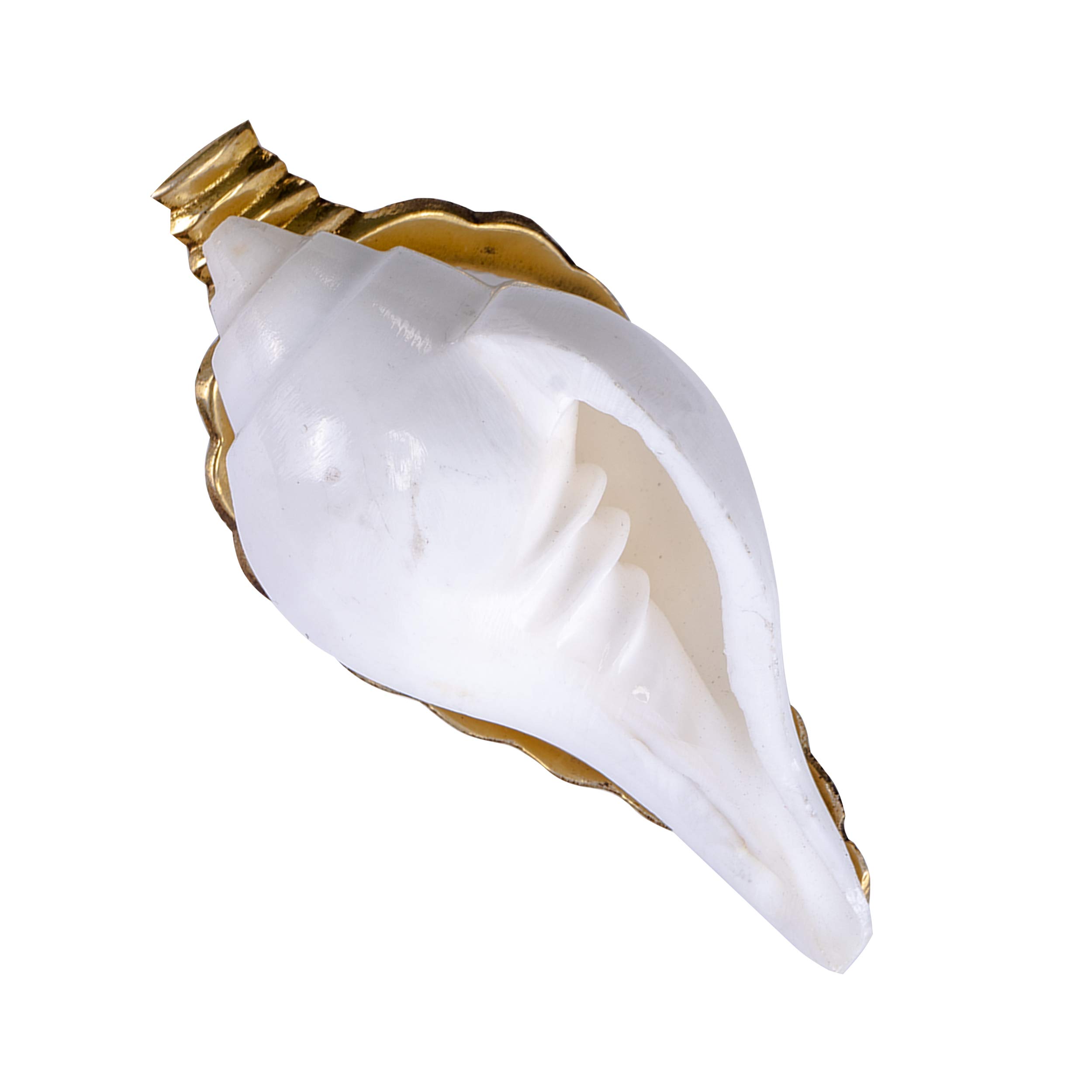 ROY ARAGYA SHANKH with Brass Stand : Amazon.in: Musical Instruments