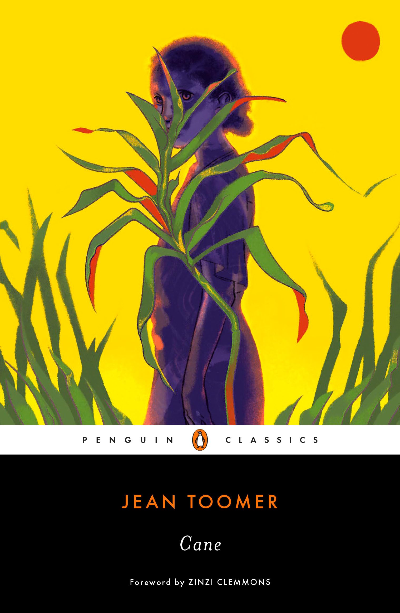 Cane (Penguin Classics): Amazon.co.uk: Toomer, Jean: 9780143133674: Books