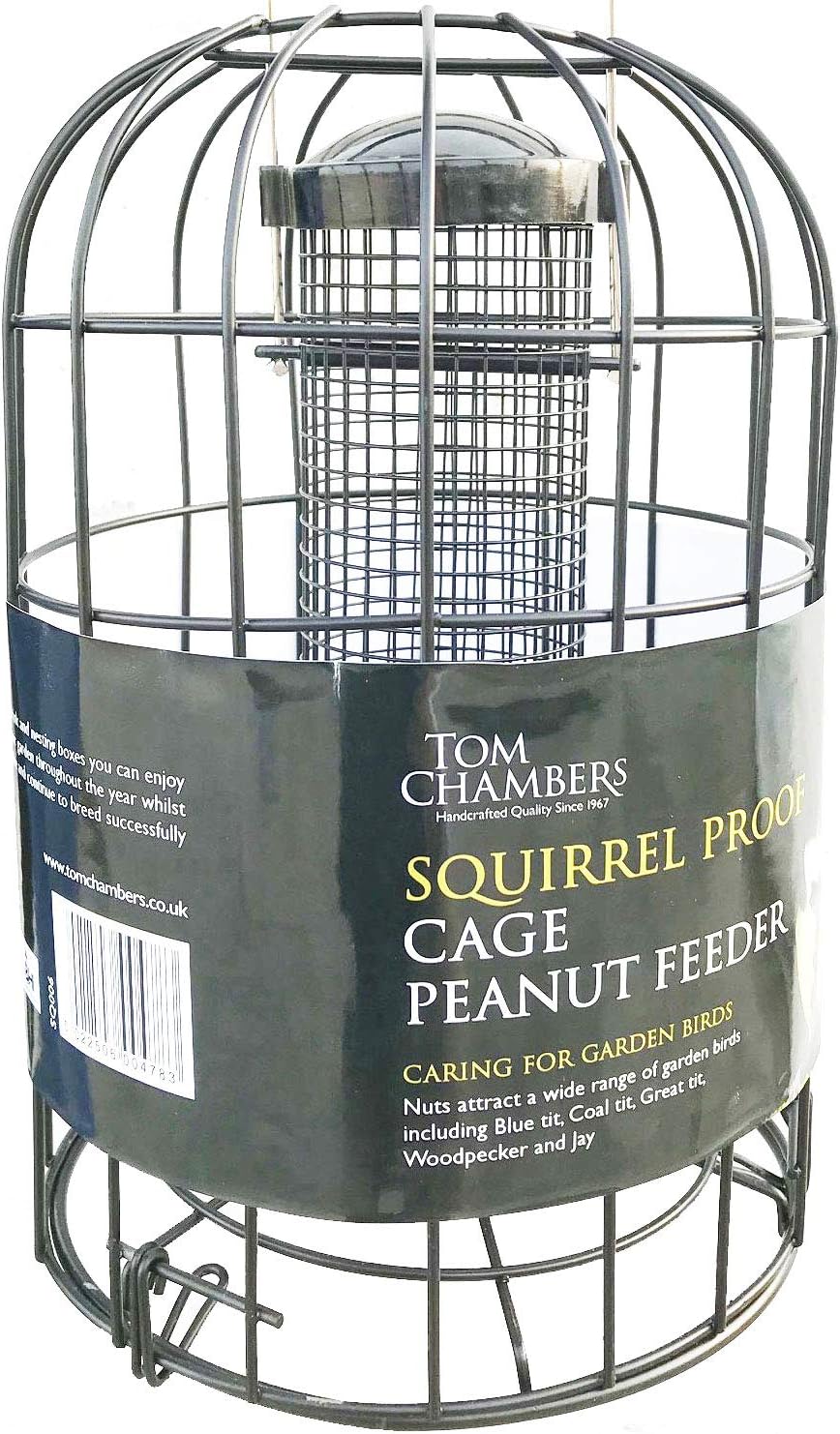 Chapel Wood Acorn Steel Squirrel Proof Peanut Feeder Green : Amazon.co ...