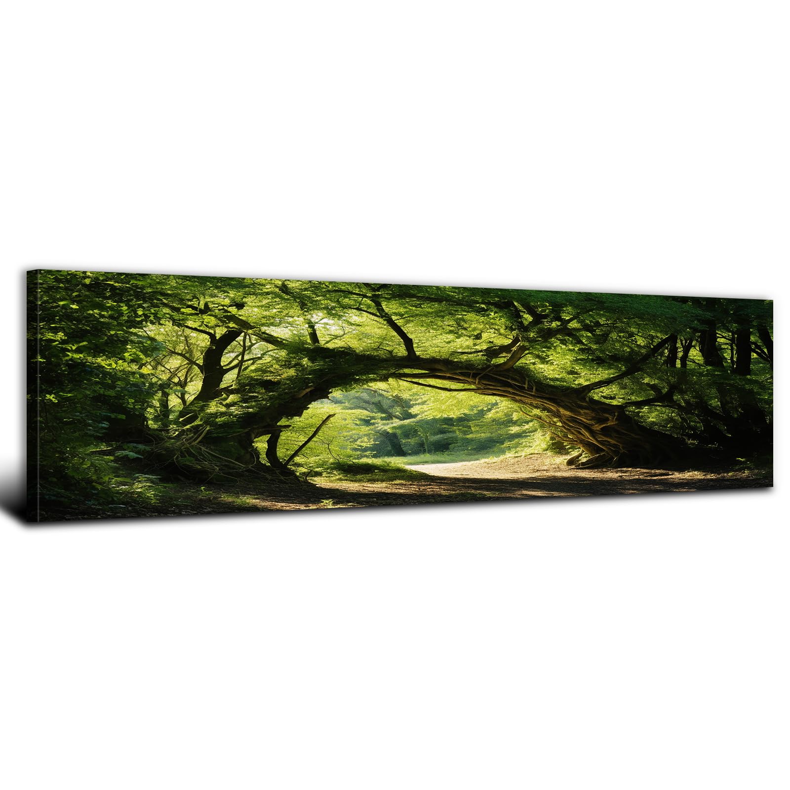 Amazon.com: Nature Forest Wall Art Living Room Sunrise Pictures Wall ...