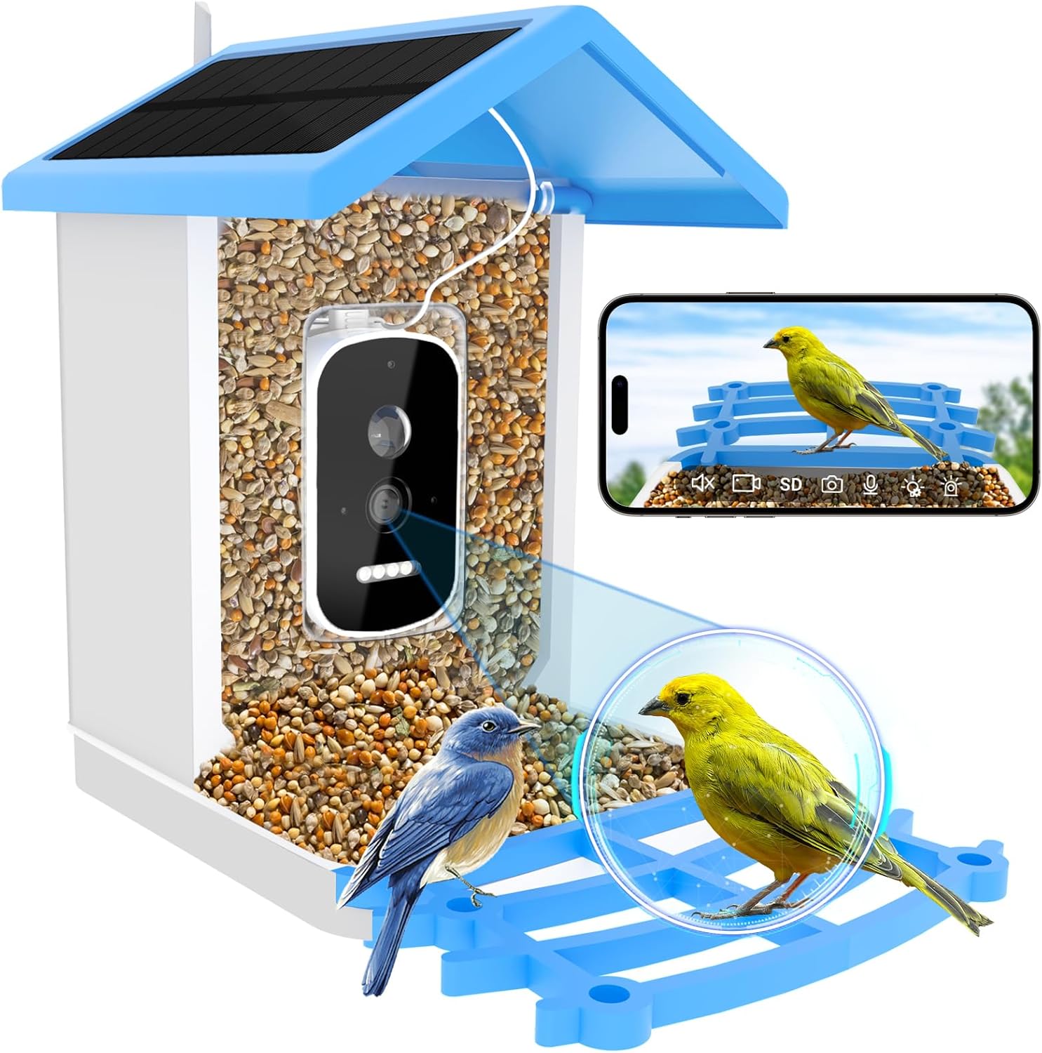 Amazon.com: Happypaw Bird Feeder with Camera, Solar Powered Smart ...