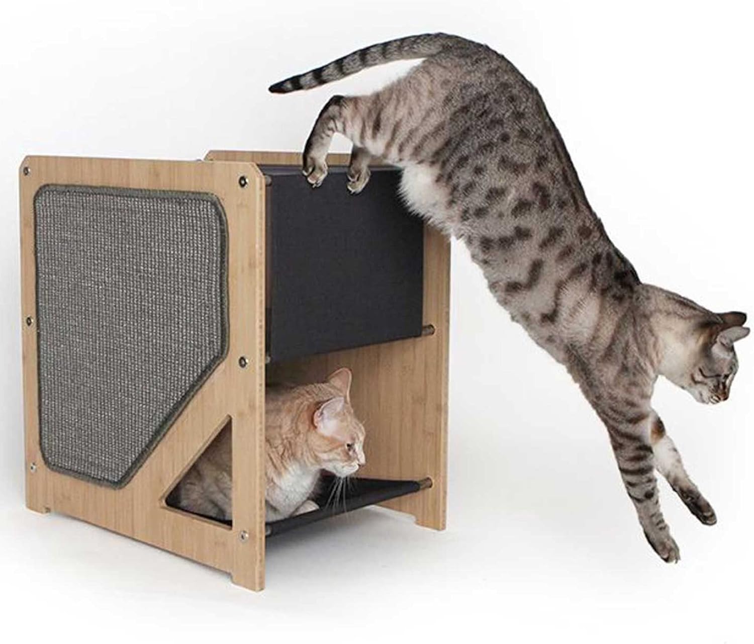 Amazon.com : Catastrophic Creations The Grotto Cat Tree – Includes Cat ...