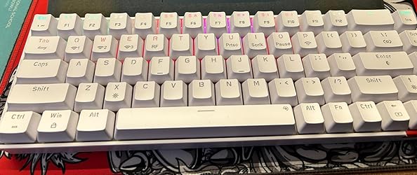 Amazon.in: Buy Portronics Hydra 10 Mechanical Wireless Gaming Keyboard ...