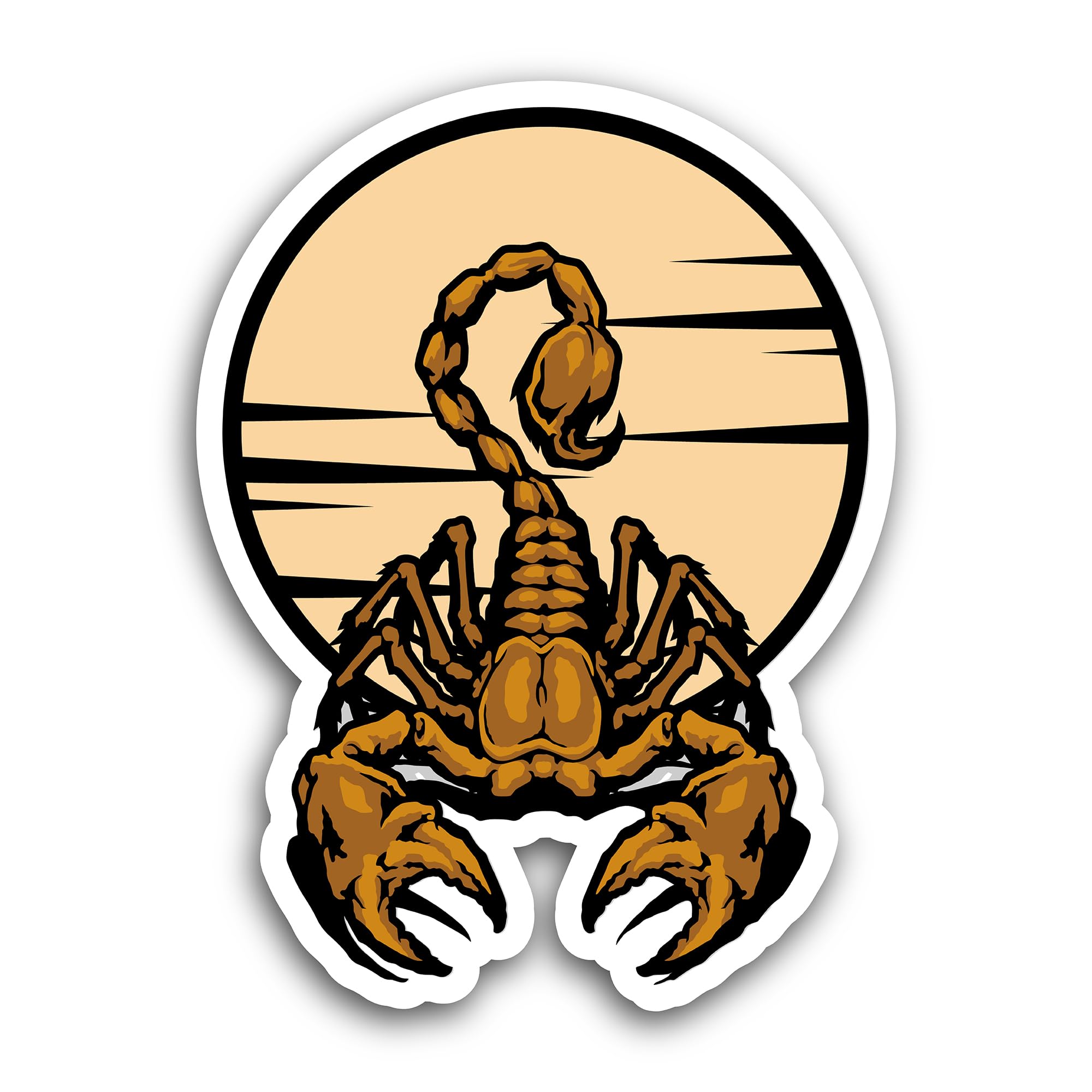 Amazon.com - 2 (Pieces) 3" and 5" Gold Scorpion Sticker, Waterproof ...