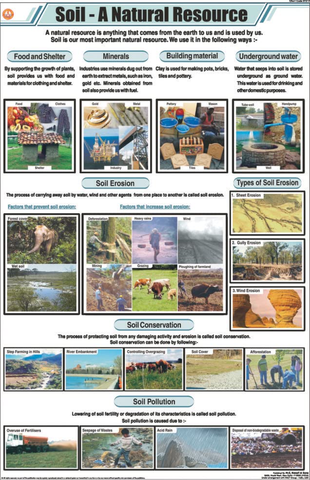 Buy STG22 | TeachingNest | Soil - A natural resource Chart (58x90 cm ...