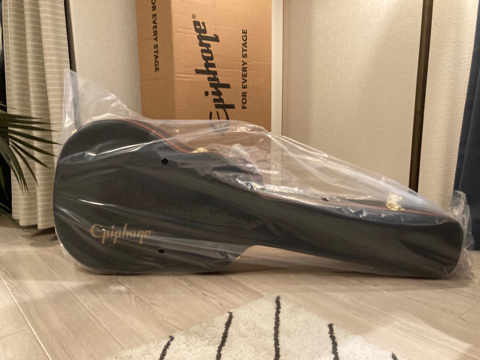 Amazon | Epiphone/Acoustic AJ Dreadnought Hard Case (940-EDREAD)ハードケース ...