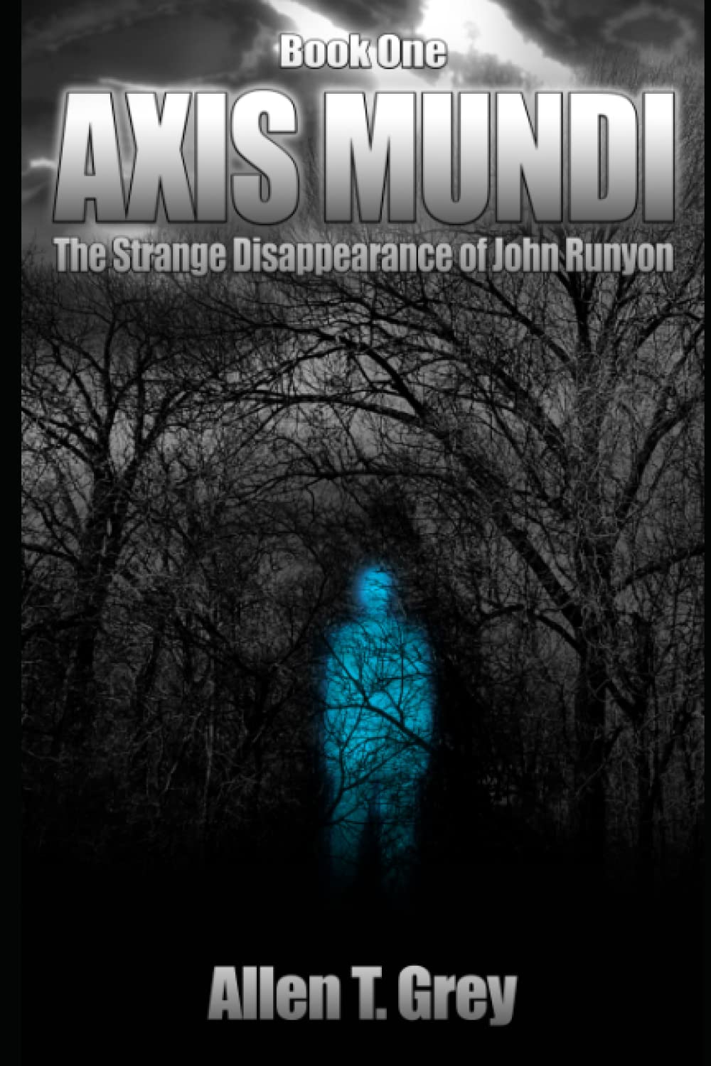 Axis Mundi: The Strange Disappearance of John Runyon: Grey, Allen T ...