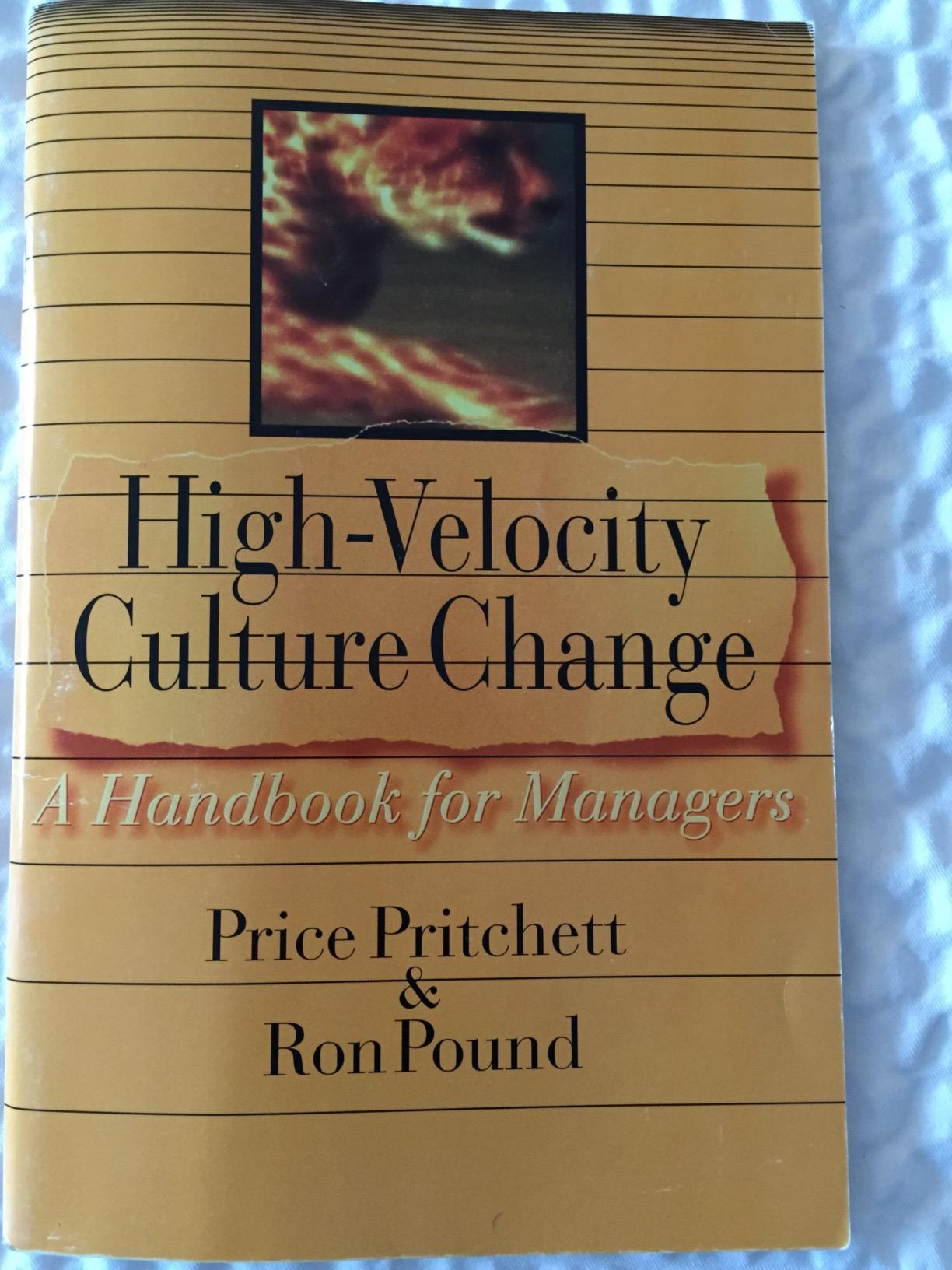 High Velocity Culture Change: A Handbook for Managers: Pritchett, Price ...